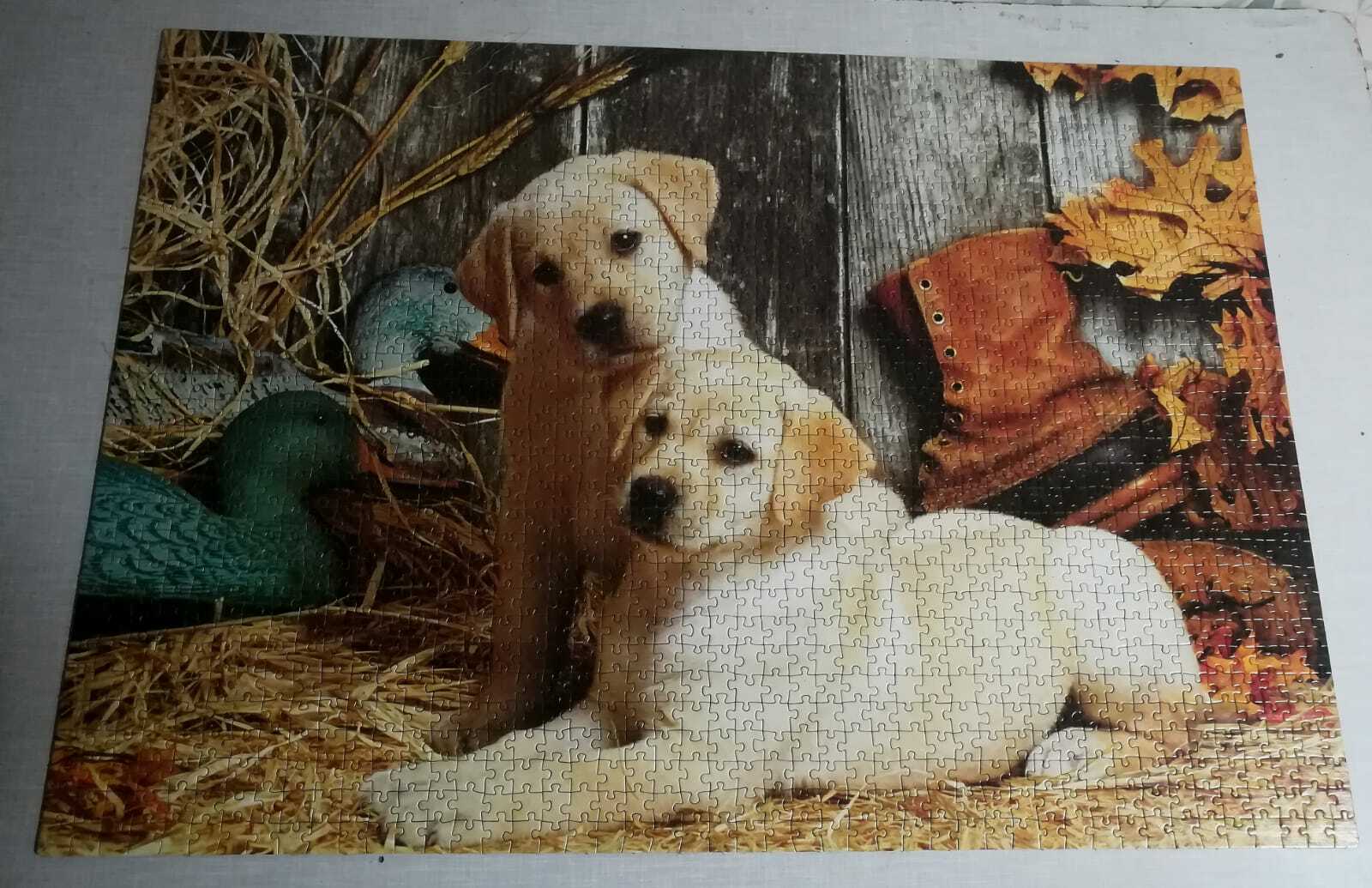 High Quality Puzzle 1500 Teile Clementoni 97785 Hunting Dogs Hunde ...