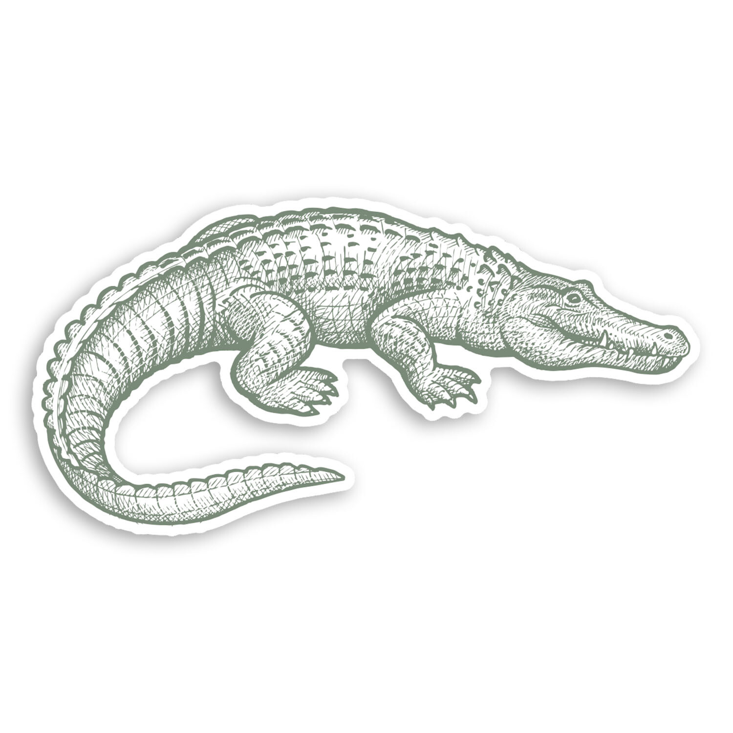 2 x 10cm Green Crocodile Vinyl Stickers - Alligator Croc Laptop Sticker ...