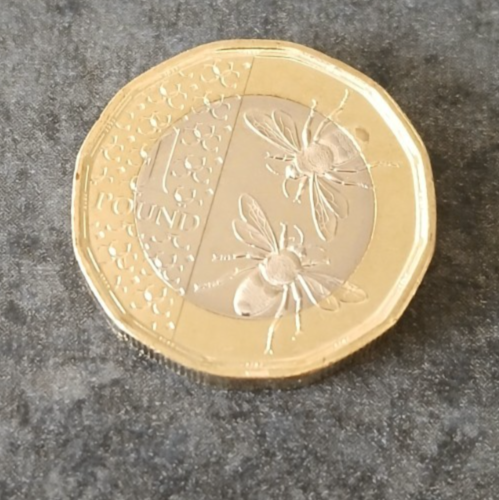 RARE LOW 170,000 MINTAGE 2025 KING CHARLES UNC BEES £1 ONE POUND COIN ...