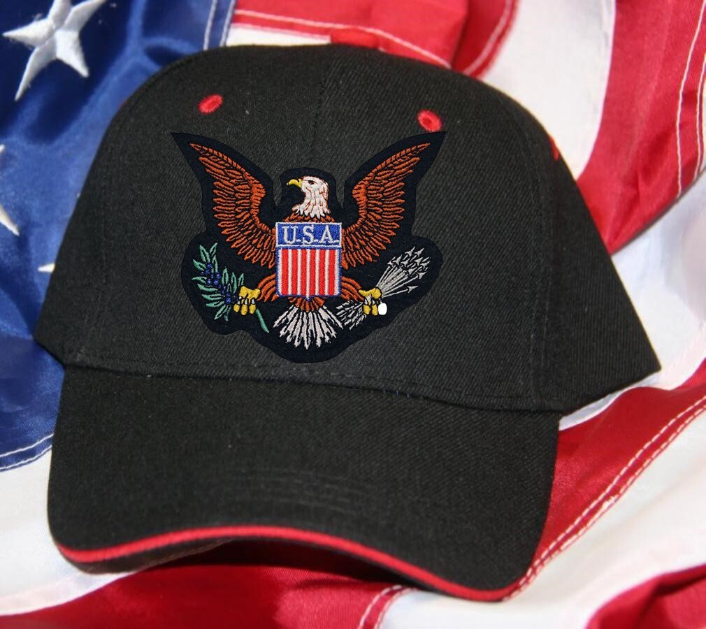 USA EAGLE LOGO HAT PATCH CAP US MILITARY TROOPS GIFT WOW | eBay