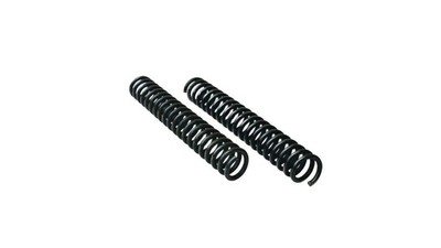 CRF50 HD Fork Springs | eBay