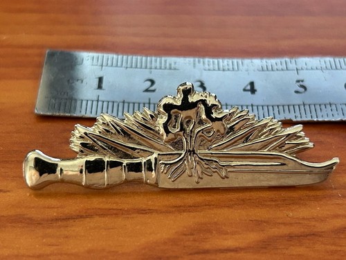 Pin's à revers Golani Israel IDF | eBay