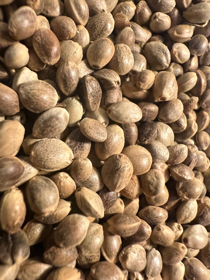 Ripkitty Premium Toasted Whole Hemp Seeds Nuts Organic Free Shipping | eBay