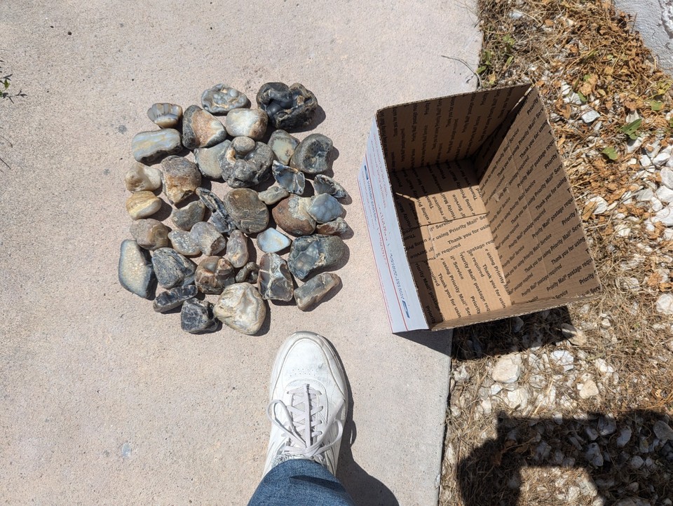 Montana Moss Agate/Treasure State Agate Lot Rough | eBay
