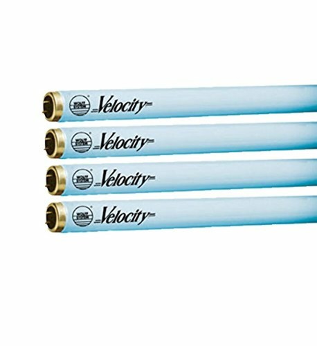 Wolff Velocity F71 100W Bi Pin Lamps Tanning Bed Bulbs | eBay