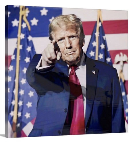 Donald Trump Canvas 20x20 Art 2024 President America Patriotic Legends ...