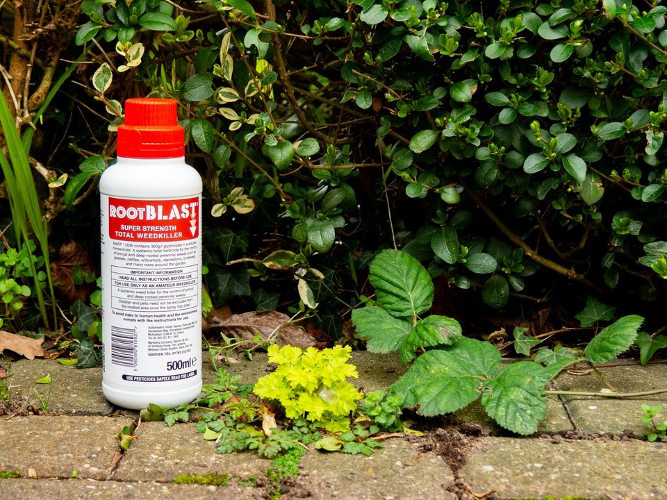 Rootblast | Super Strength Concentrated Total Weed Killer 500ml | eBay UK