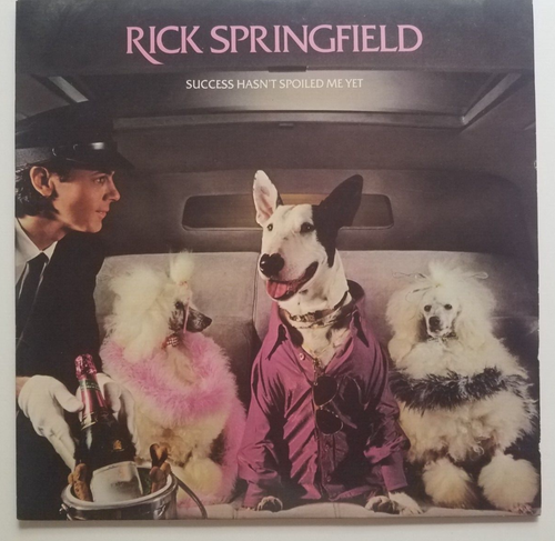 RICK SPRINGFIELD "SUCCESS HASN'T SPOILED ME YET" NEAR MINT POP ROCK LP ...