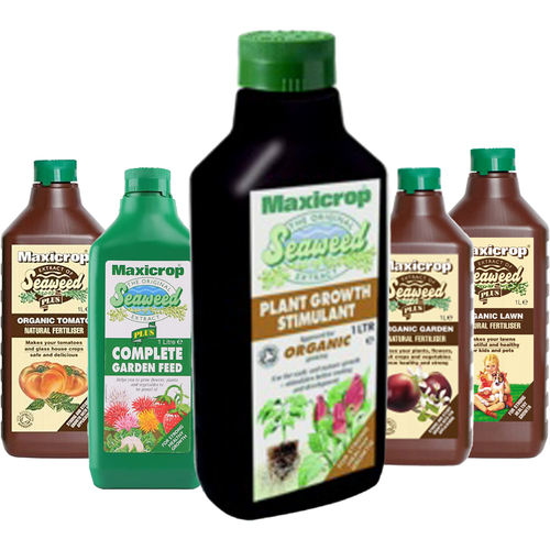 Maxicrop Seaweed Organic Natural Growth Lawn Feed Tomato Plant ...