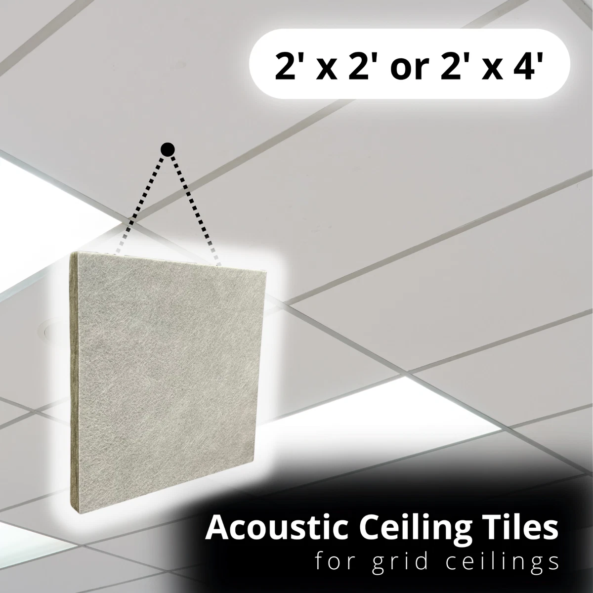 Ceiling Sound Absorption