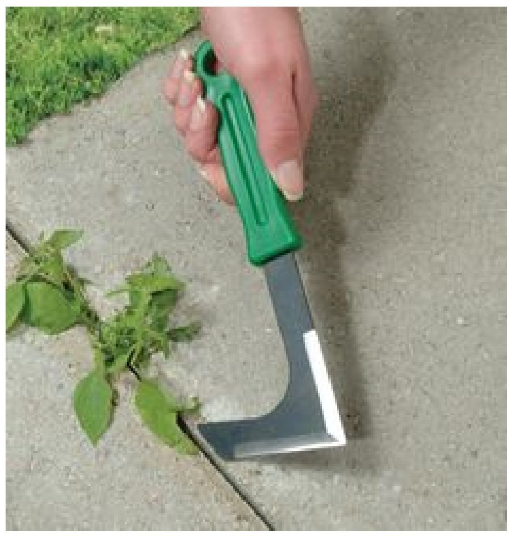 PATIO WEED MOSS REMOVER Garden Weeds Paving Brick Drive Tools Weeder ...