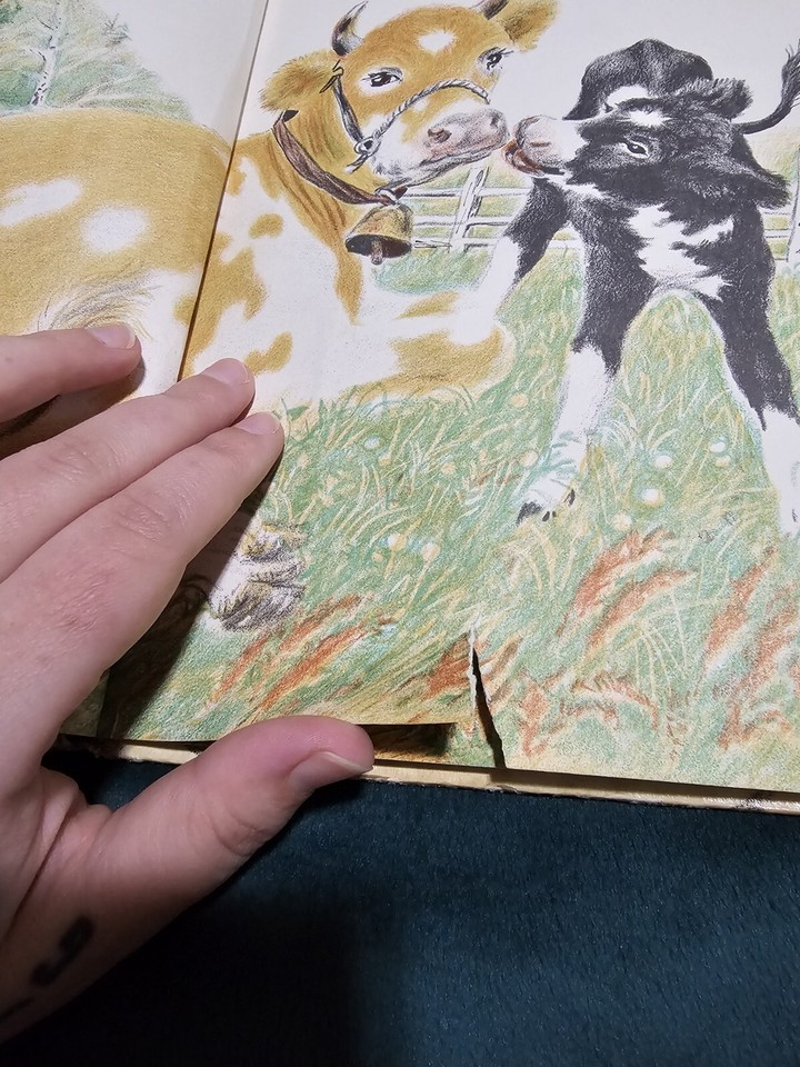 Animals On The Farm Feodor Rojankovsky | eBay