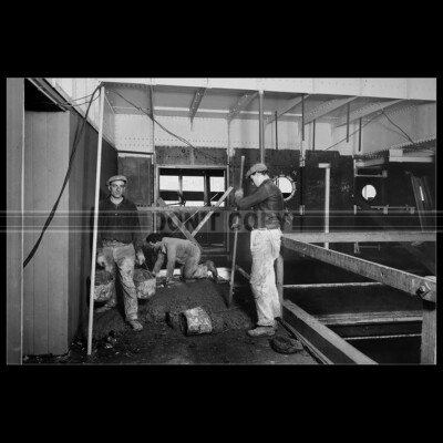 Photo B.004352 USS ORIZABA (ID–1536) US TROOP SHIP WW1 (WARD LINE ...