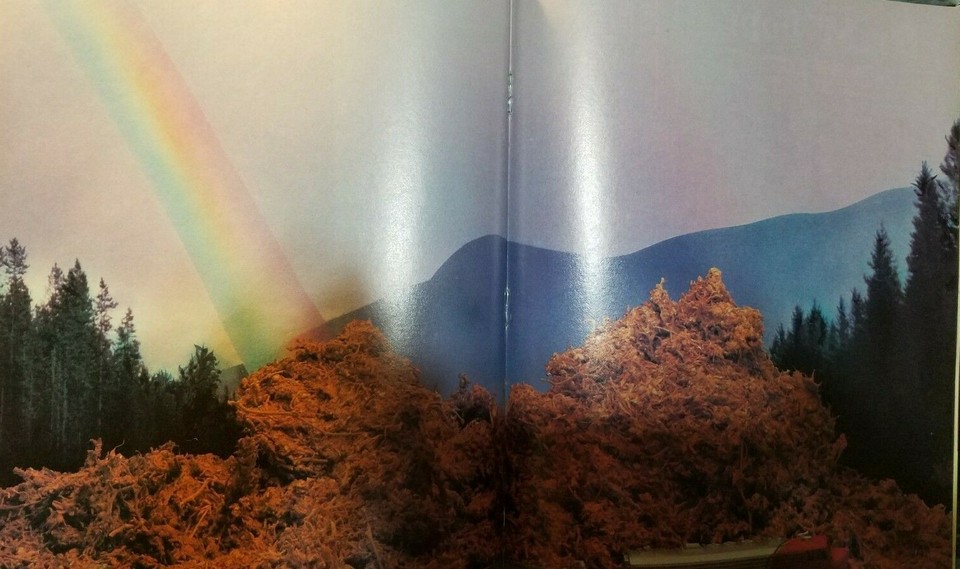 HIGH TIMES BELUSHI ZIPPY HITLER VINTAGE MAY 1982 MARIJUANA MAGAZINE ...