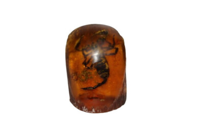 Chinese Collectible Amber Inner Inlay Scorpion Rare Lucky Cone Statue ...