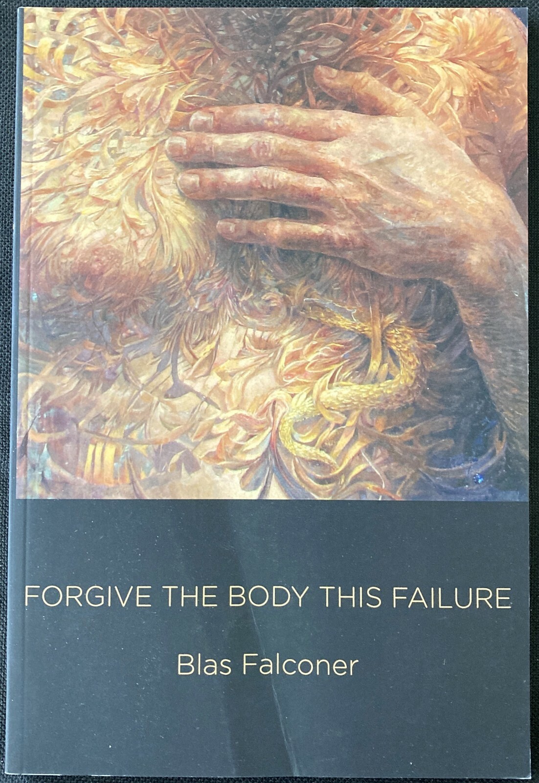 Forgive the Body This Failure by Blas Falconer (2018, Paperback) Four ...