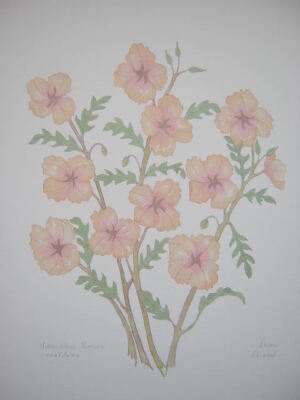 Moran Himalayan Poppies Flower Floral Limited Edition Art Print | eBay
