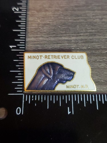 Vintage Minot Retriever CLUB North Dakota Pin Rare Beautiful Purple VL ...