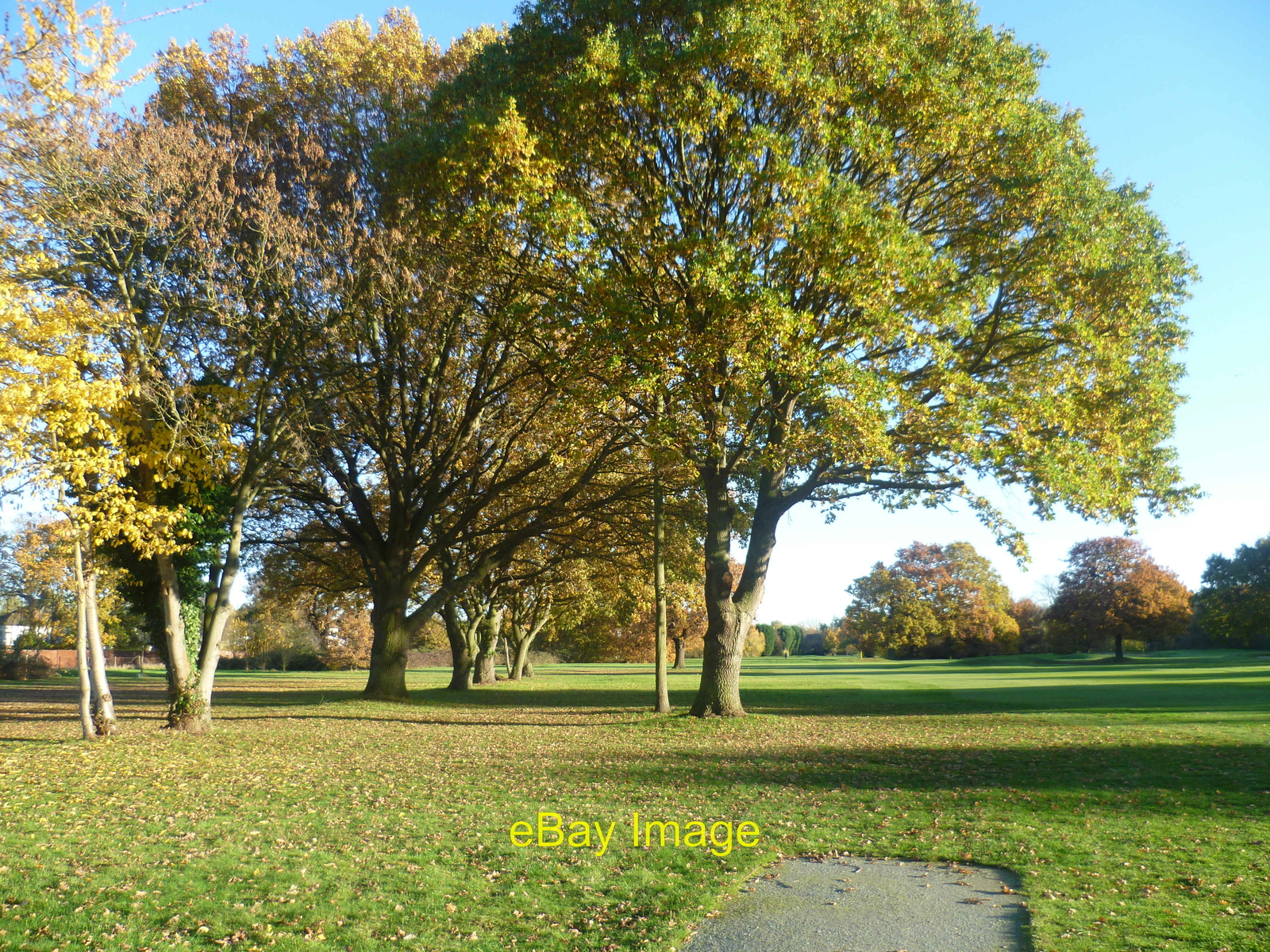 Photo 12x8 Malden Golf Course in autumn New Malden 2 c2012 | eBay UK