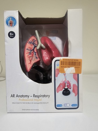 AR Anatomy Respiratory, Professional 3D Model Augmented Reality ...