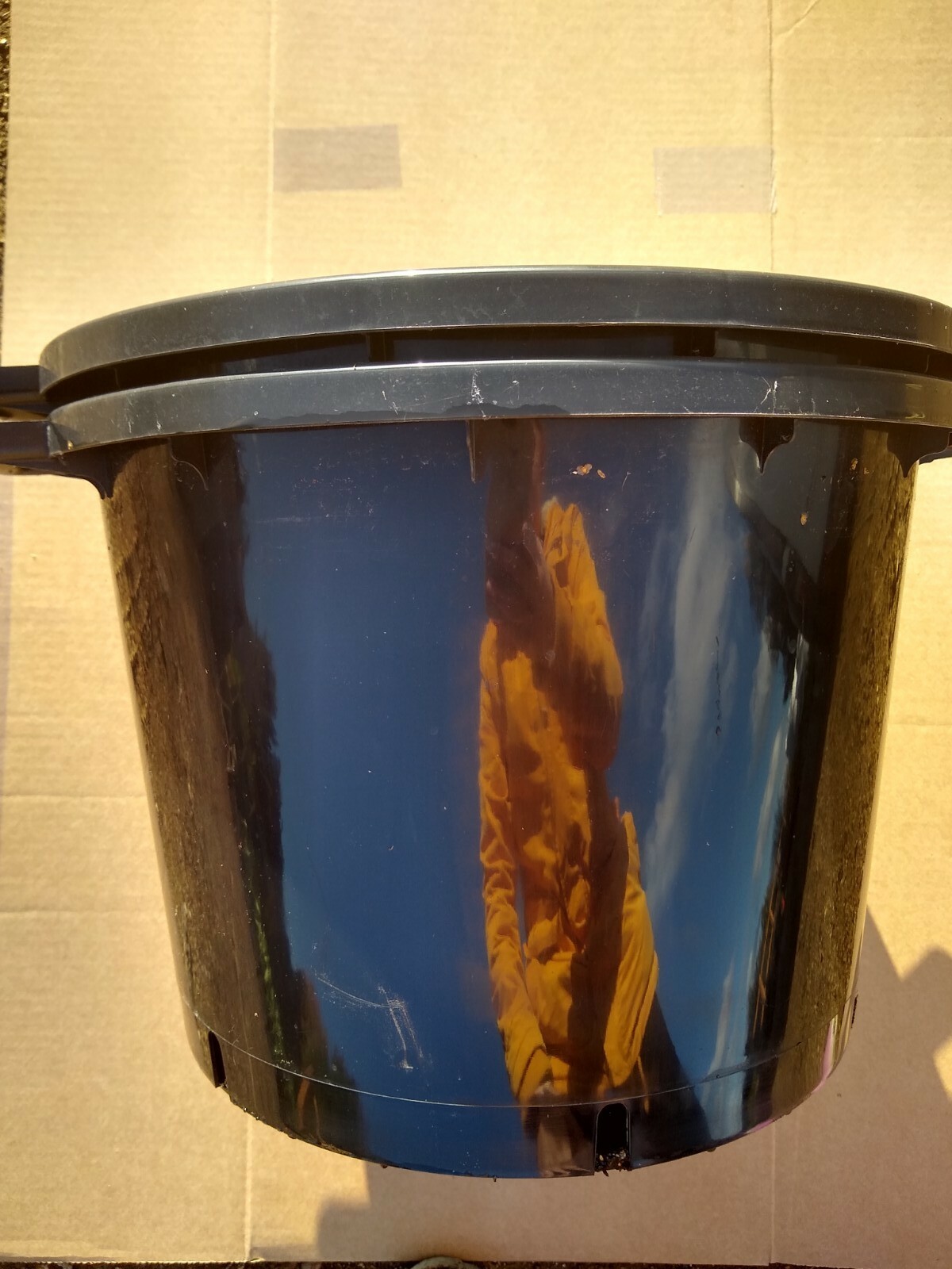 2 X 30 LITRE BLACK PLASTIC PLANT POTS WITH HANDLES, HEAVY DUTY ...