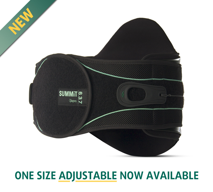 Aspen Medical Summit 637 Lumbar Support Back Brace Black Adjustable ...