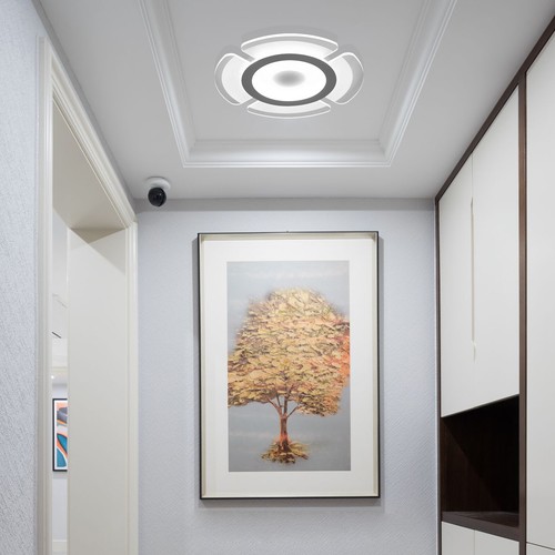 Led Hallway Ceiling Lights | Shelly Lighting