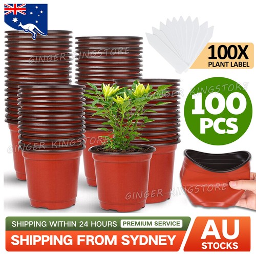 100x Plastic Plant Flower Garden Pots Nursery Seedlings Pot Growing ...