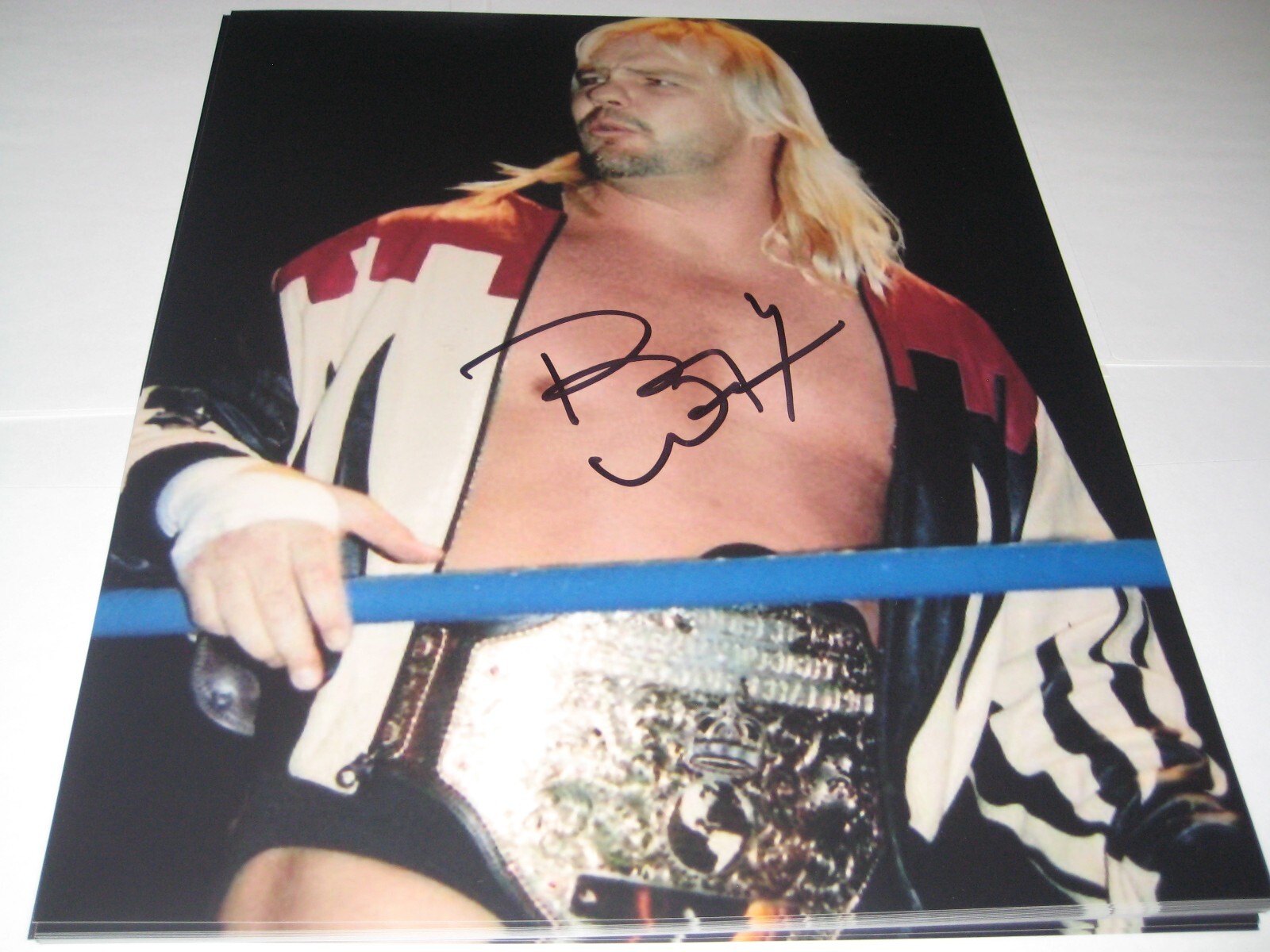 WWF, WWE HALL OF FAMER BARRY WINDHAM AUTO SIGNED 8X10 PHOTO W/ COA FREE ...
