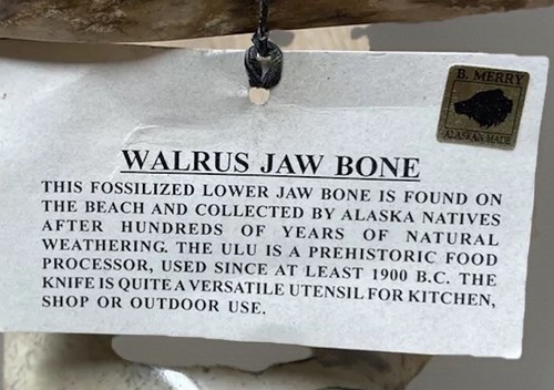 🔪 Rare Alaska Ulu Skinning Knife w/ Stand – Fossilized Bone – New ...