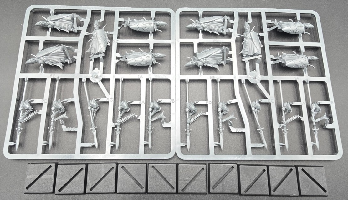Warhammer TOW High Elf Realms Lothern Guard (10) NEW NO BOX | eBay