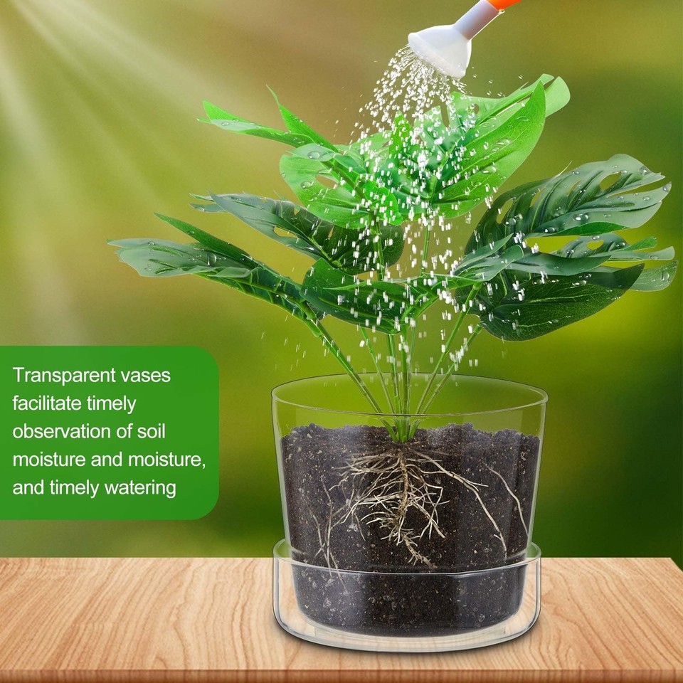 2 Sets 6 Inch Glass Planter with Drainage Hole and Tray Indoor Clear ...
