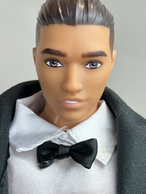 Barbie Fashionistas Ken Doll Dark Brown Hair Hazel Eyes Hispanic 2018 ...