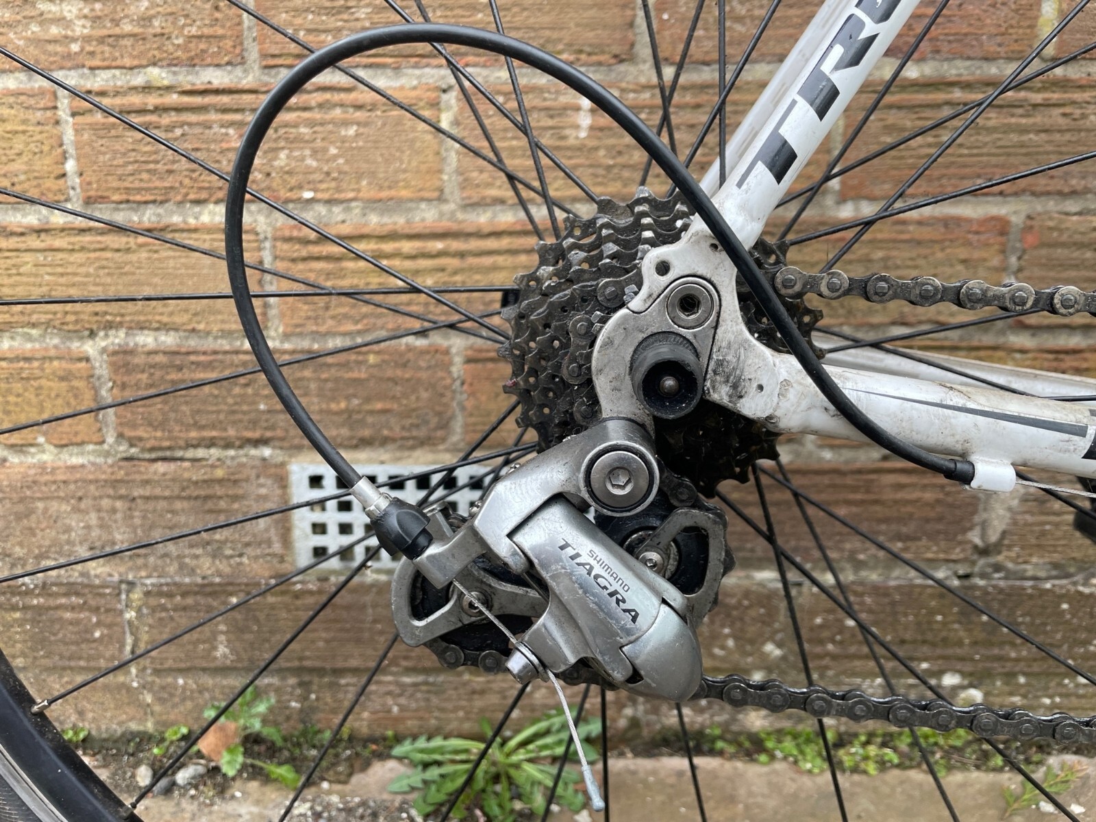 TREK ALPHA 1.5 ROAD BIKE - 56cm | eBay UK