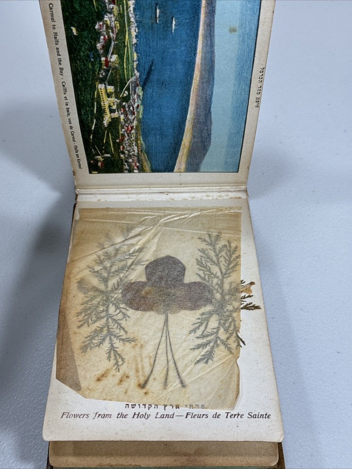 Flowers of the Holy Land Pressed Flower Book - Olive Wood Covers ...