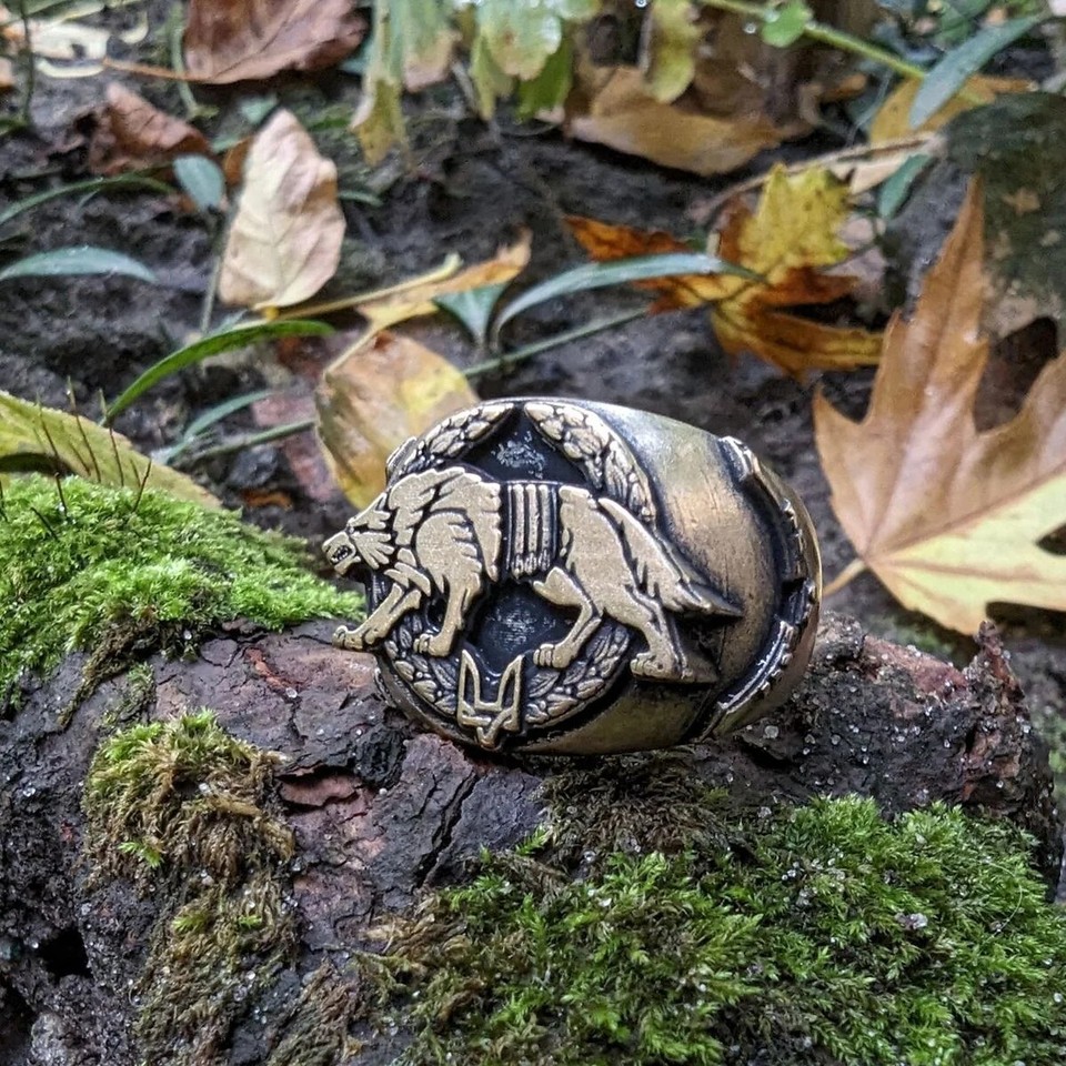 Ukraine Special Forces Ukrainian military war ring bronze morale amulet ...