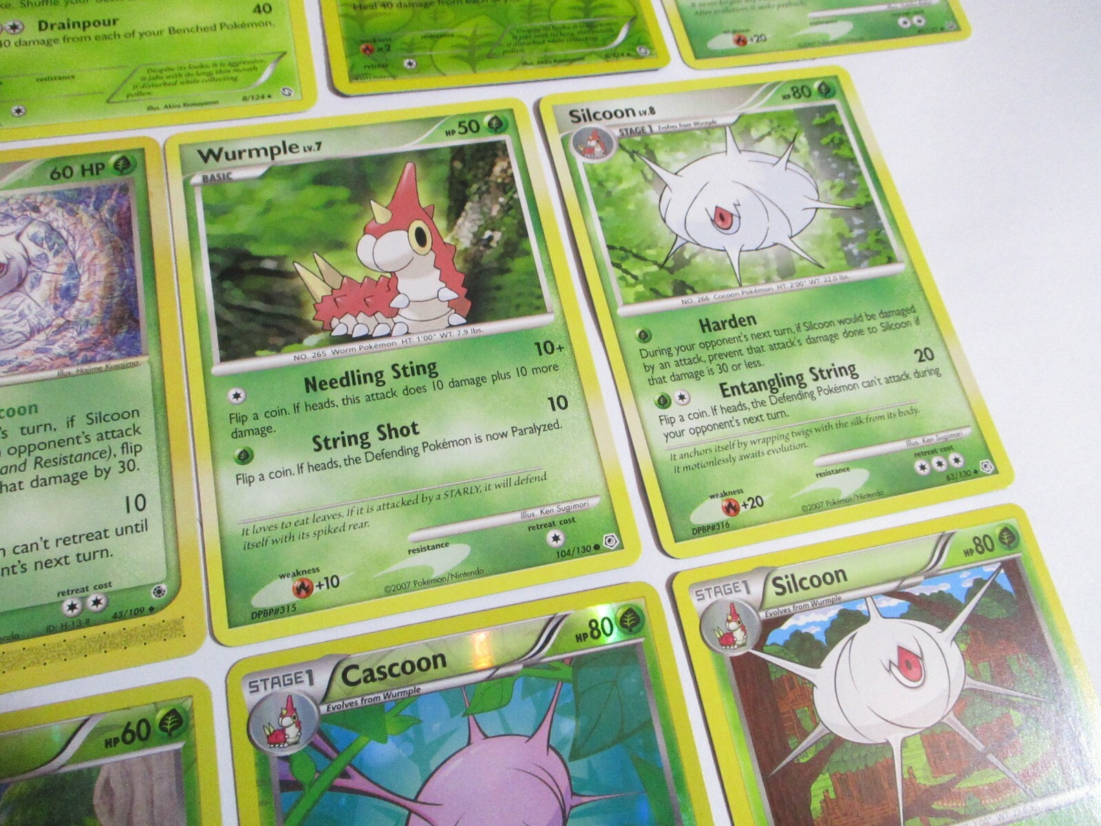 Cascoon Evolution Chart