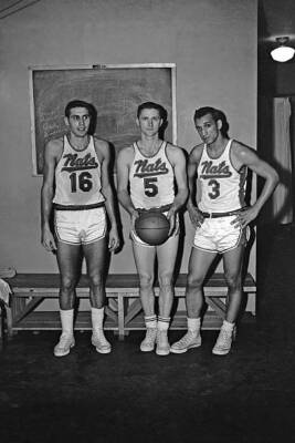 Al Bianchi Paul Seymour Bob Harrison Syracuse Nationals Basketball ...