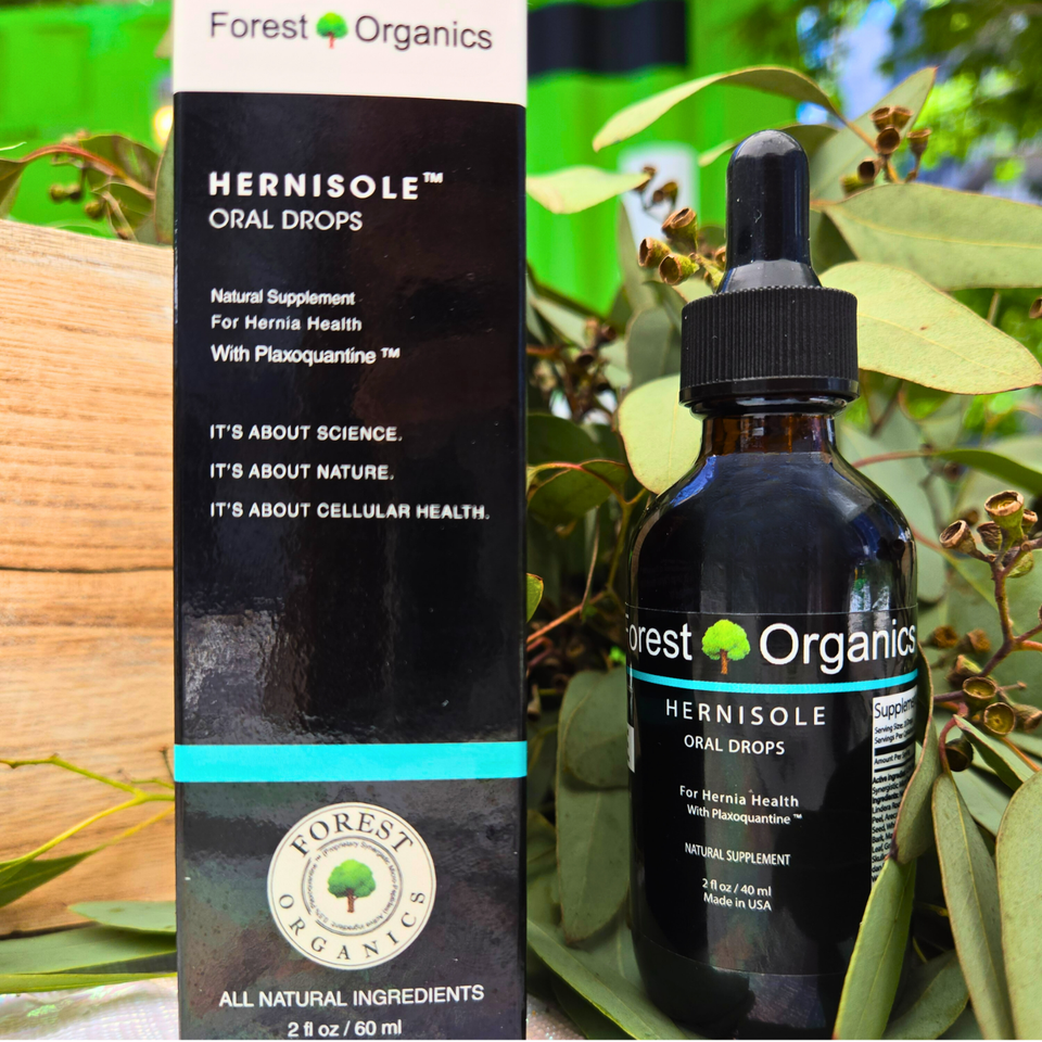 Natural Hernia Health Supplement:Hernia Support Belt with Muscle ...