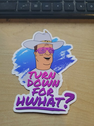 TURN DOWN FOR HWHAT? STICKER HANK HILL KING OF THE HILL | eBay