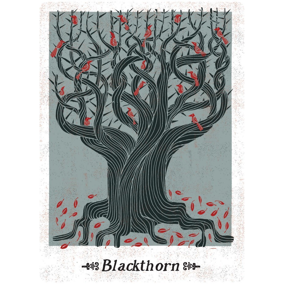 Folklore Oracle cards Deck Mike Bass 60 Divination Watkins Publishing ...