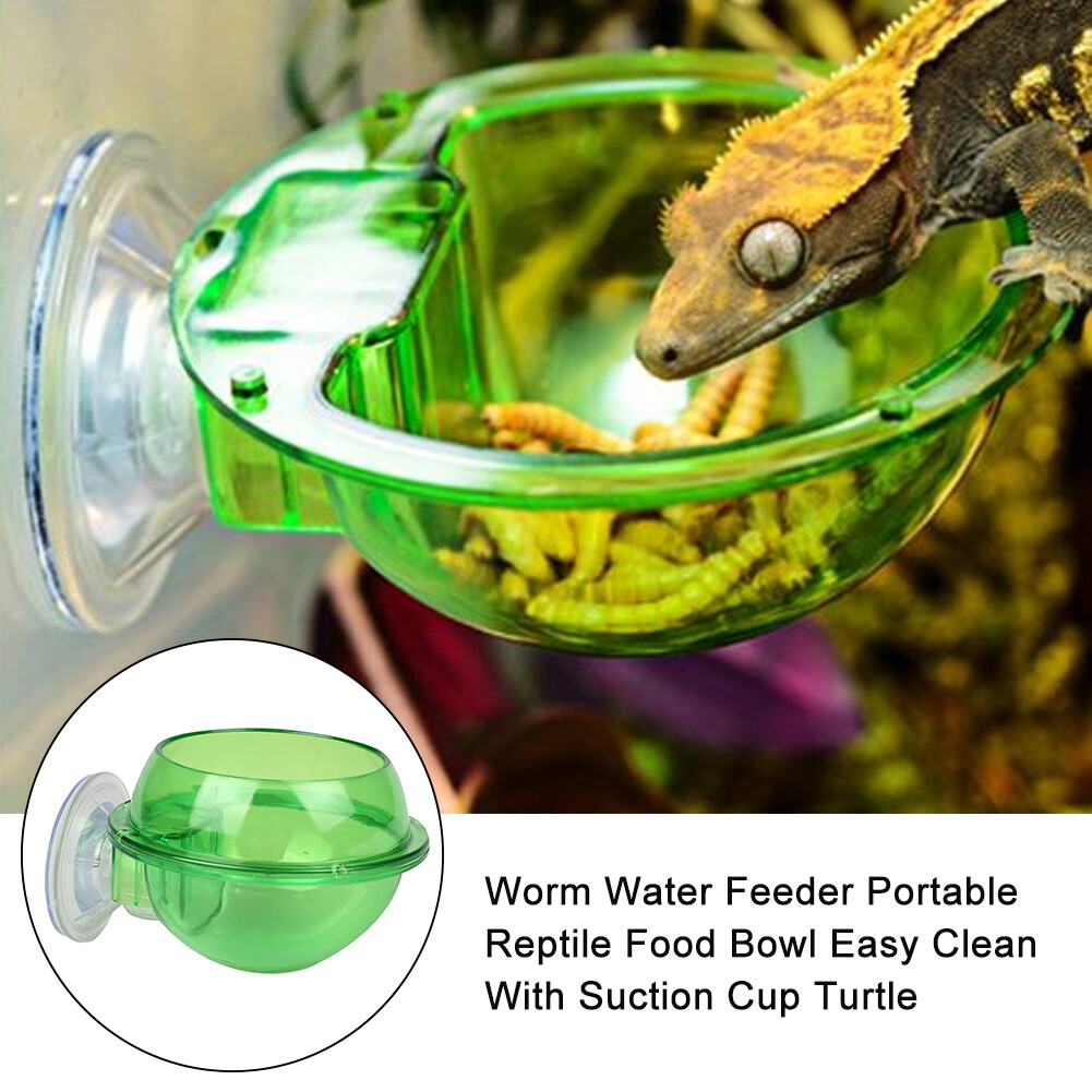 Turtle With Suction Cup Water Feeder Scorpion Reptile Food Bowl ...