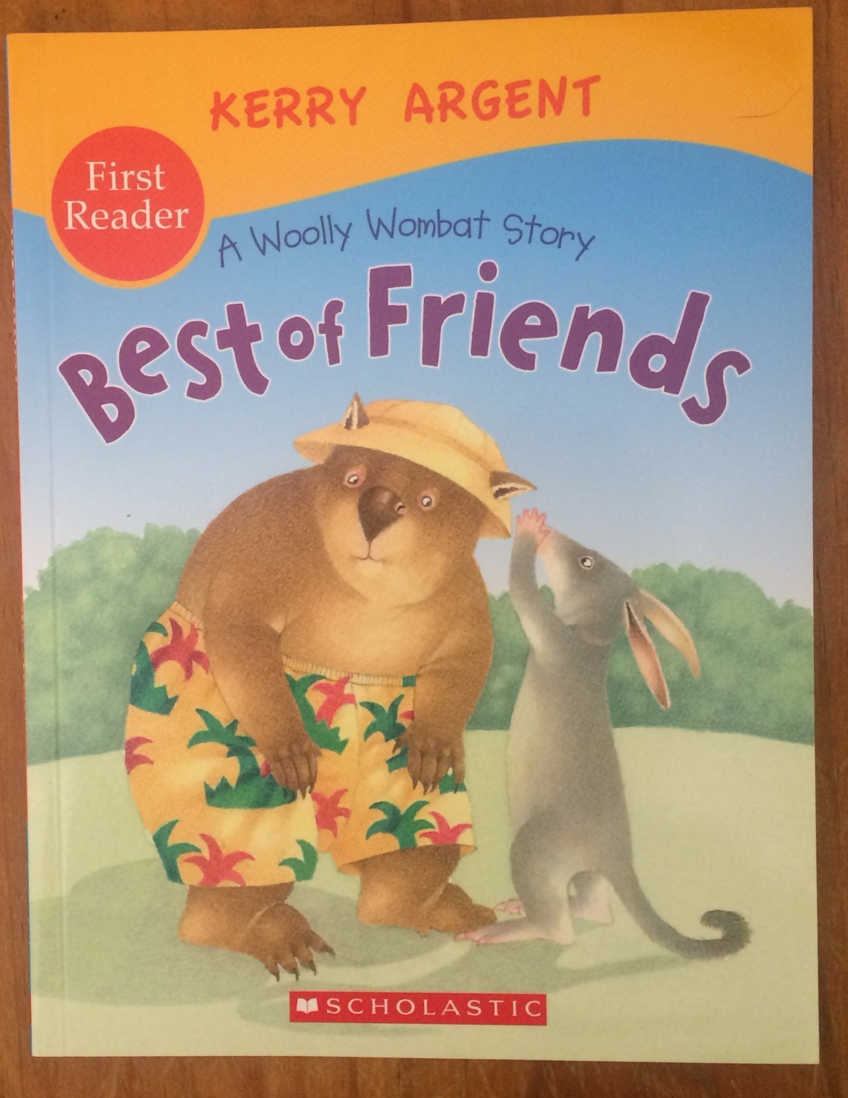 ONE WOOLLY WOMBAT STORIES ~ 4 FIRST READERS BY KERRY ARGENT ~ NEW ...