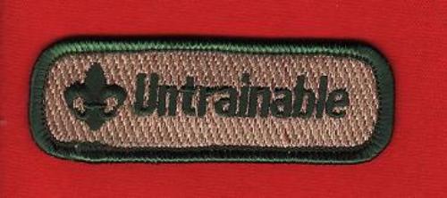 Untrainable Spoof Comic Trained Patch Boy Cub Scout Leader for sale ...