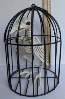 Skeleton Crow In Cage Halloween Creepy Decoration Bird Bones Plastic ...