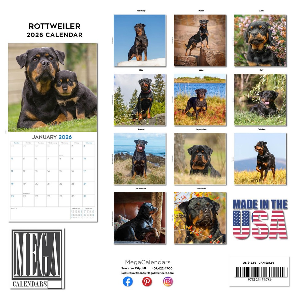Rottweiler Calendar 2026 - Dog Breed Wall Calendar - Made in the USA ...