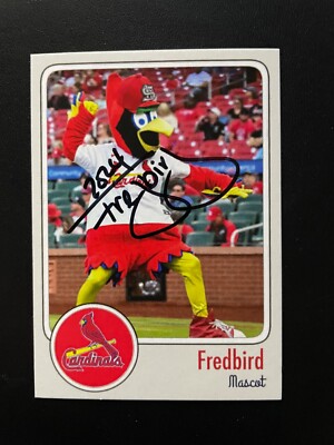 FREDBIRD autograph ST. LOUIS CARDINALS mascot custom card signed | eBay