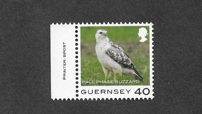BIRDS RAPTORS PALE PHASE BUZZARD GUERNSEY 2022 MNH SINGLE | eBay UK