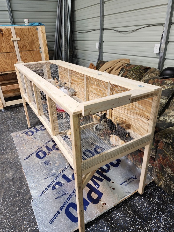 Chick Pen Quail Pen | eBay