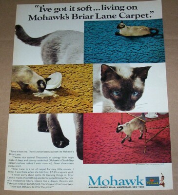 1966 print ad page - Mohawk carpet carpeting Siamese cat Tommy logo ...